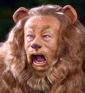 What do you feed your Cowardly Lion? – Rubber Ducky Copywriter™